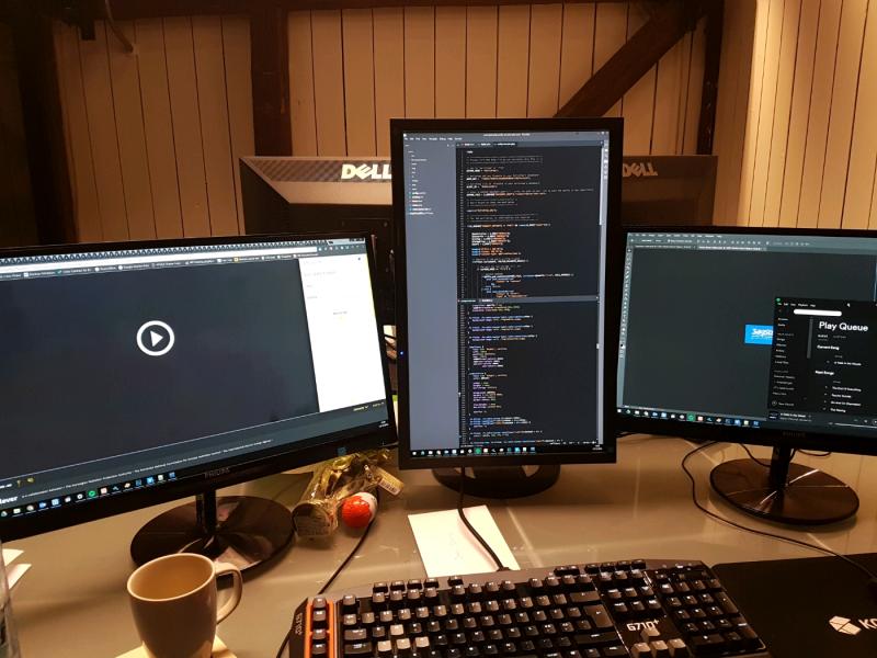 Why do programmers have multiple monitors? Cause i'm new in programming so idk it😂 - devRant